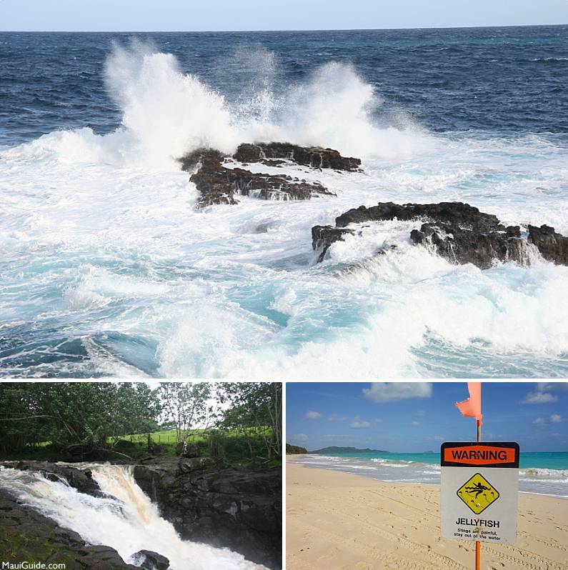 Save Money On Maui Top Ten Ways To Save Money On Maui Hawaii Save Money On Maui Top Ten Ways To Save Money On Maui Hawaii